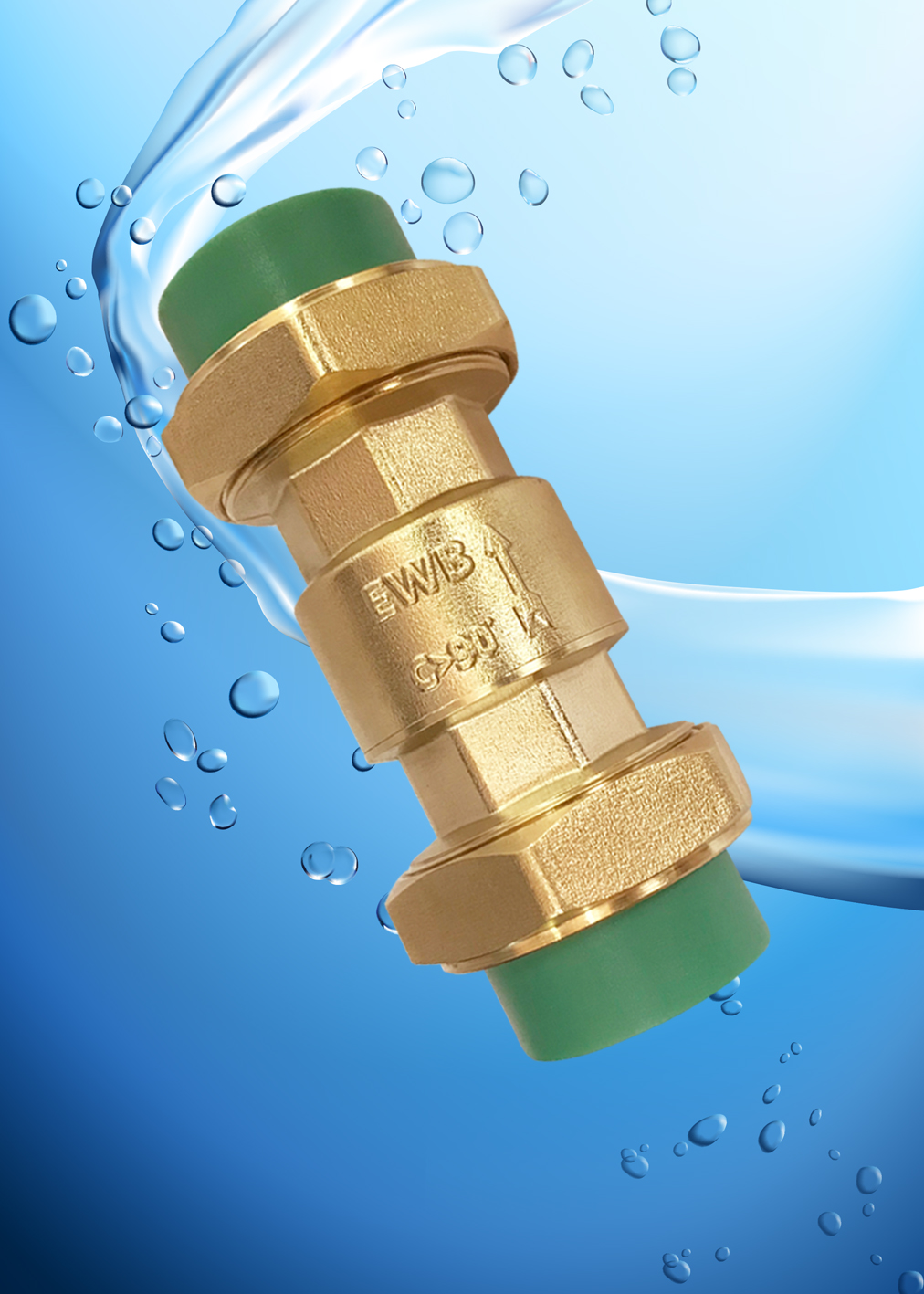 Check Valve – EWB